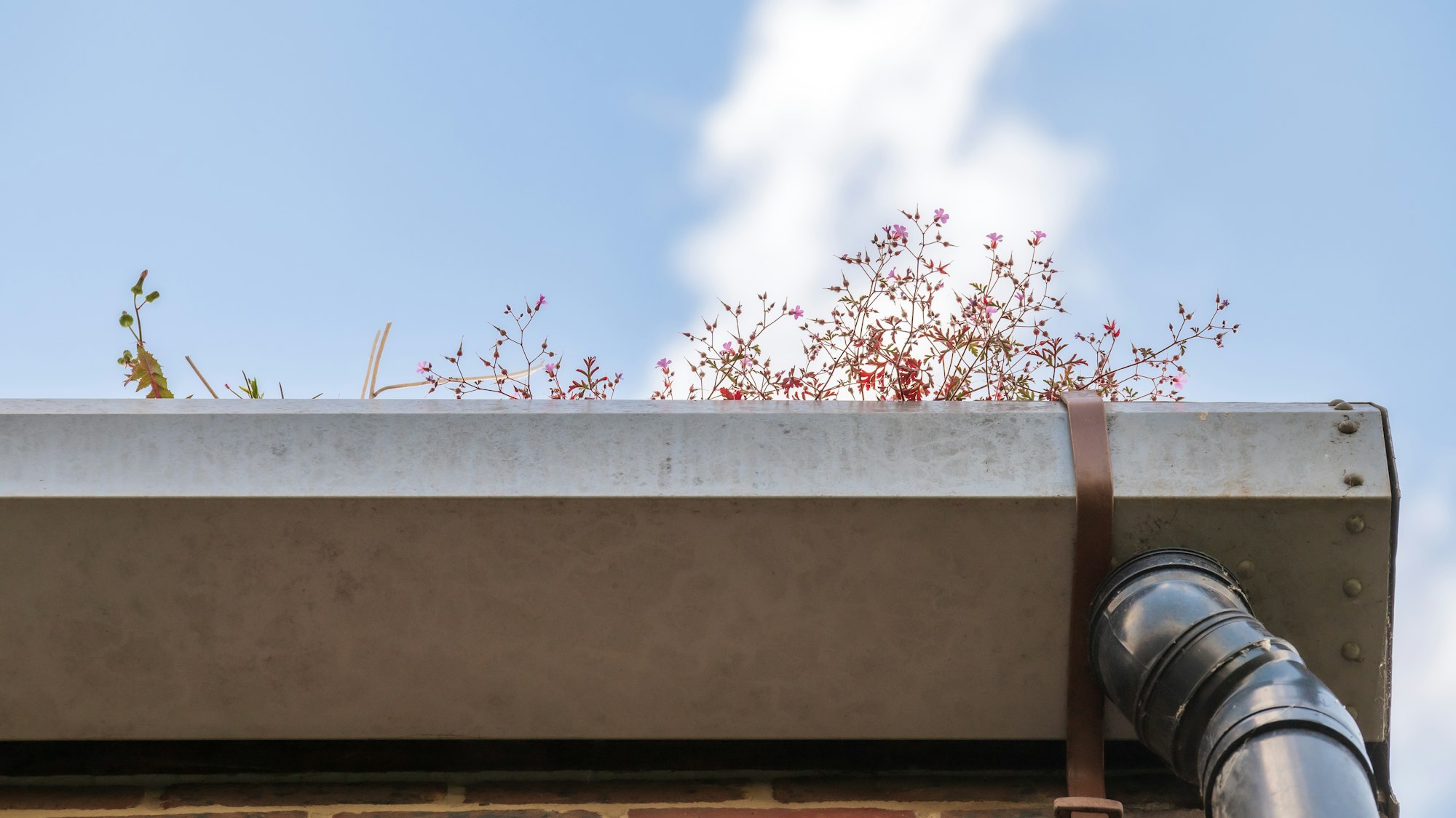 What Are the Essentials of Gutters and Drainage in Nevada?