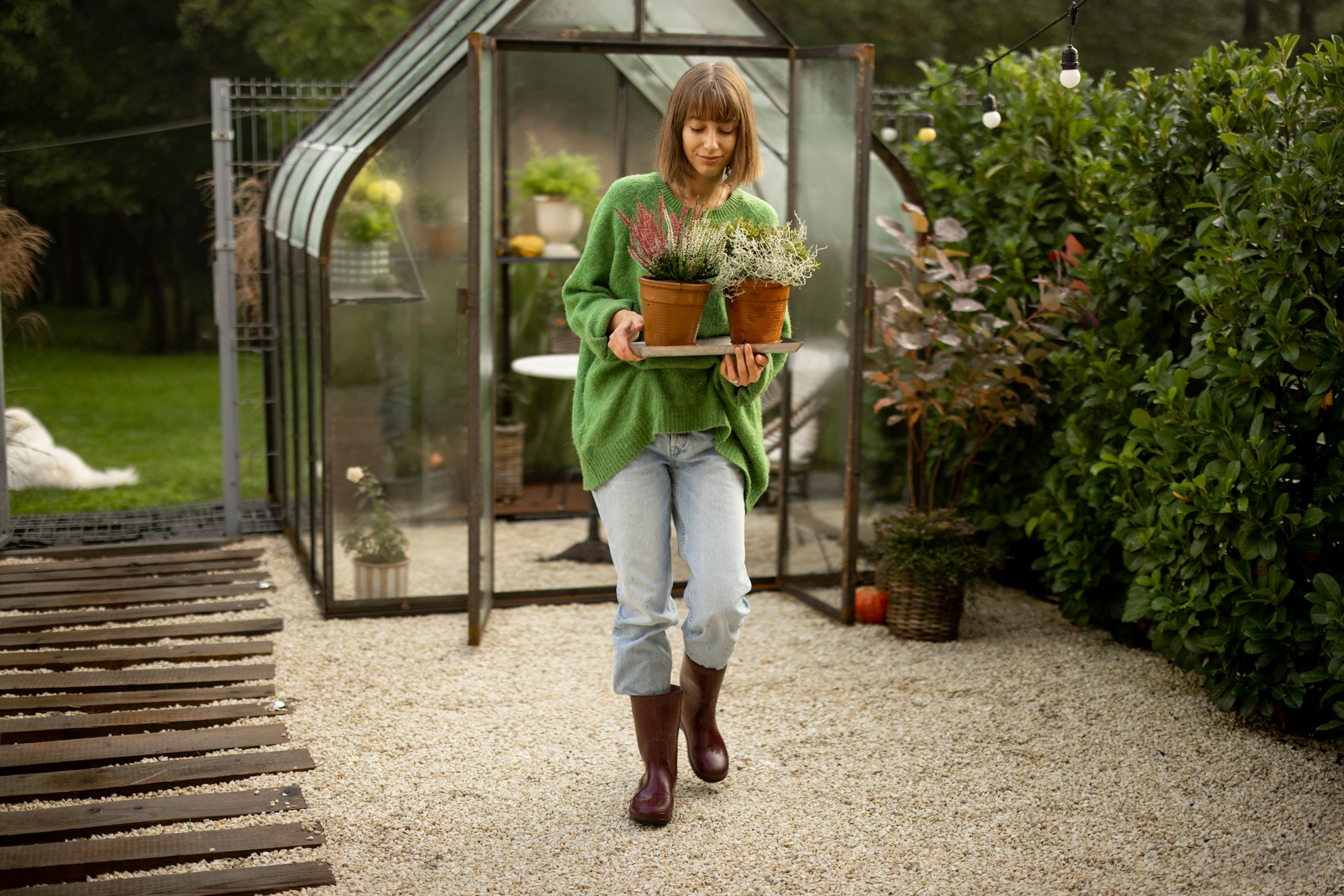 Create a Lush Oasis with Diverse backyard plants. Explore!